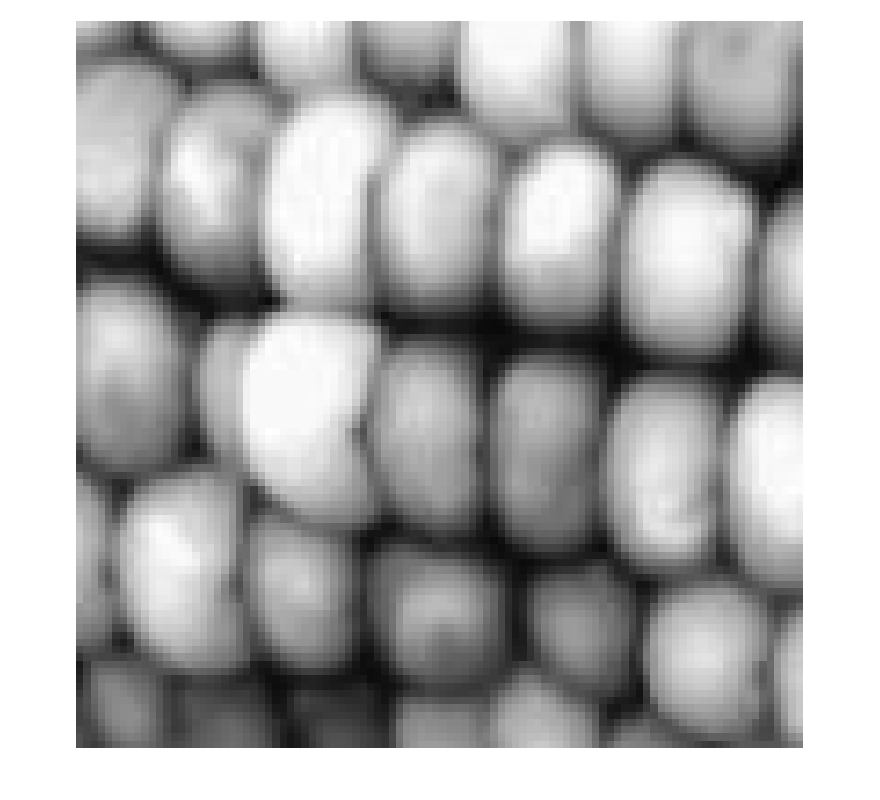 Display Image MATLAB Imshow MathWorks Nordic